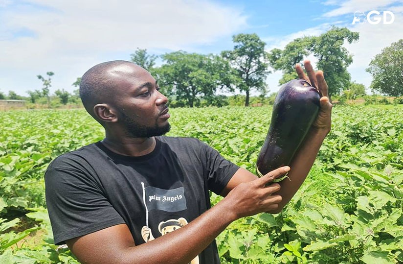 Diarra Agriculture : Mali's Agri-Leader